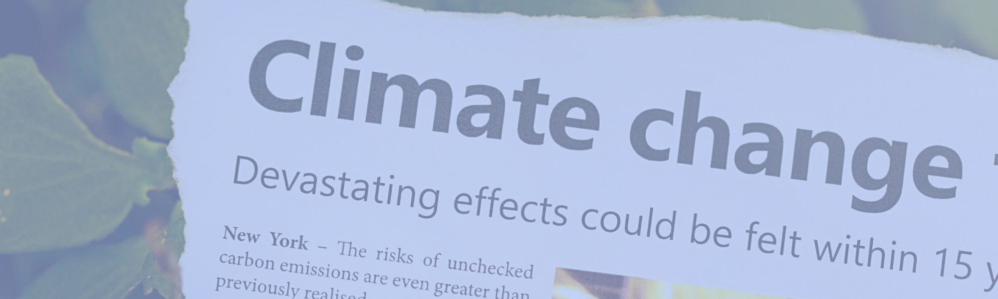 Climate Reporting & Action - Greening the Built Environment ...